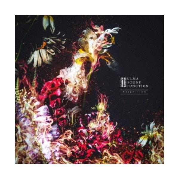 ■発送倉庫:DVD倉庫（※神奈川県からの発送）■種別:CD■発売日:2022/04/13■販売元:キングレコード■収録:Disc.1／01.Modern Bleed(5:14)／02.Rotten Apple(7:04)／03.Utopia...