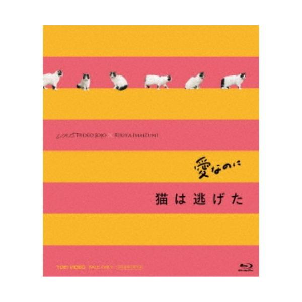 ■発送倉庫:DVD倉庫（※神奈川県からの発送）■種別:Blu-ray■発売日:2022/08/03■販売元:東映ビデオ■説明:解説 監督：城定秀夫×脚本：今泉力哉による本作は、古本屋の店主と、店主に求婚する女子高生、店主の憧れの女性とその夫...