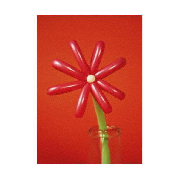 ■発送倉庫:DVD倉庫（※神奈川県からの発送）■種別:Blu-ray■発売日:2022/09/28■販売元:ソニー・ミュージック■収録:Disc.1／01.鳴らせ (マカロックツアーvol.13 〜あっという間の10周年☆変わらずあなたと鳴...