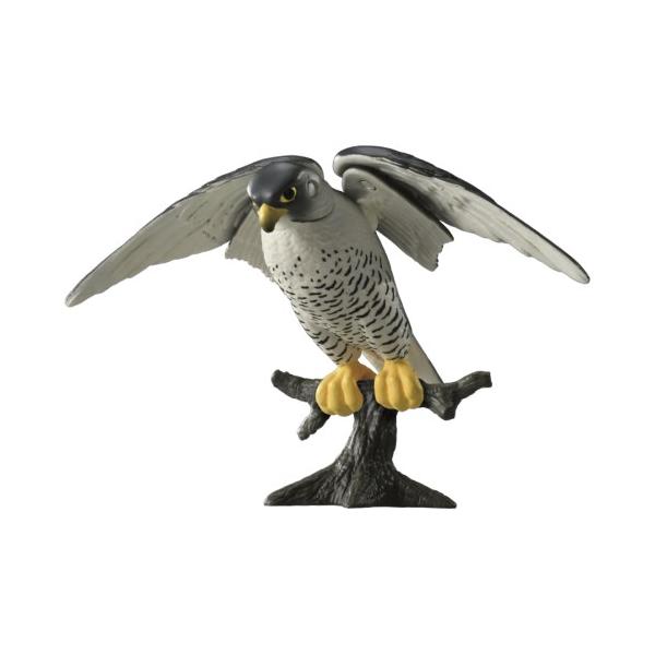 ■発送倉庫:玩具倉庫（※千葉県からの発送）■種別:おもちゃ■発売日:2023/08/03■メーカー:タカラトミー■対象年齢:3歳以上■説明:ハヤブサは、頭が動き、羽が広がります。 止まり木付きです。  【同梱内容】 フィギュア×1、止まり木...