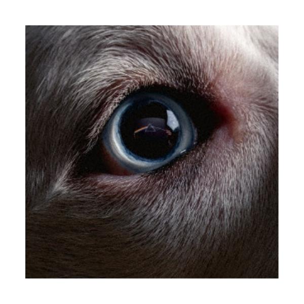 ■発送倉庫:DVD倉庫（※神奈川県からの発送）■種別:CD■発売日:2023/10/06■販売元:ウルトラ・ヴァイヴ■収録:Disc.1／01.SPEAK TO ME(1:54)／02.BREATHE(3:22)／03.ON THE RUN...