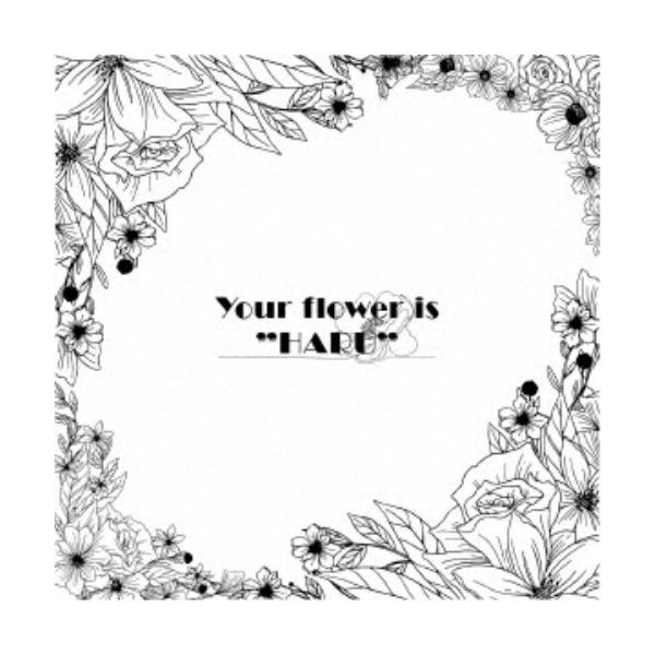 ■発送倉庫:DVD倉庫（※神奈川県からの発送）■種別:CD■発売日:2024/03/19■販売元:ダイキサウンド■収録:Disc.1／01.狂花響園／02.gentle lie／03.僕のいない明日／04.君のいない昨日／05.アルメリア／...