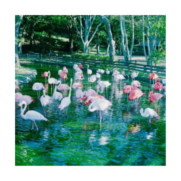 ■発送倉庫:DVD倉庫（※神奈川県からの発送）■種別:CD■発売日:2023/12/06■販売元:ヴィヴィド・サウンドコーポレーション■収録:Disc.1／01.dead and breakfast(3:44)／02.slow laser(...