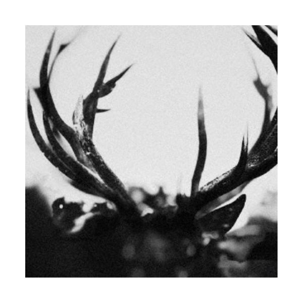 ■発送倉庫:DVD倉庫（※神奈川県からの発送）■種別:CD■発売日:2024/02/21■販売元:ウルトラ・ヴァイヴ■収録:Disc.1／01.Cervus Venator／02.The Promethean Spark／03.Pilgri...