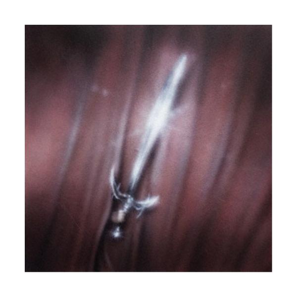 ■発送倉庫:DVD倉庫（※神奈川県からの発送）■種別:CD■発売日:2024/03/29■販売元:ウルトラ・ヴァイヴ■説明:デビュー・アルバムが話題となったリバプールの4人組ロック・バンド、コーティング。ザ・クリブスとのコラボレーションによ...