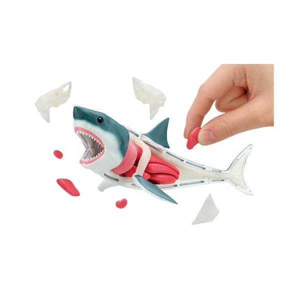 ■発送倉庫:玩具倉庫（※千葉県からの発送）■種別:おもちゃ■発売日:2024/01/25■メーカー:メガハウス■対象年齢:6歳以上■説明:ホホジロザメをパズルにしました！ バラバラの体内パーツパズルを完成させると、ホホジロザメになります。 ...