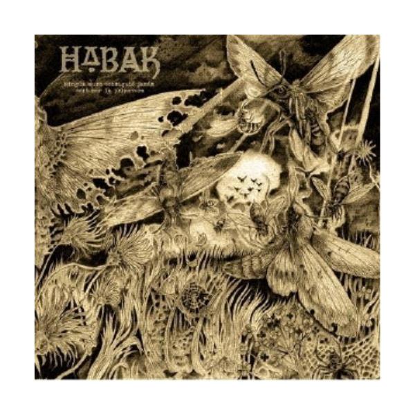 ■発送倉庫:DVD倉庫（※神奈川県からの発送）■種別:CD■発売日:2024/03/22■販売元:ディスクユニオン■収録:Disc.1／01.非暴力は特権(5:07)／02.イワミツバのほかに、ここに花は咲かない(4:08)／03.私たちに...