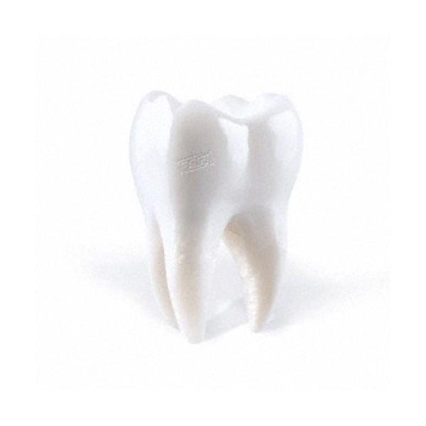 ■発送倉庫:DVD倉庫（※神奈川県からの発送）■種別:CD■発売日:2024/05/01■販売元:ウルトラ・ヴァイヴ■説明:ダンス・ポップの最前線でニッチを切り開いてきたイギリスのエレクトロポップ・バンド 、ポリジ。大きな注目を浴びる中、デ...