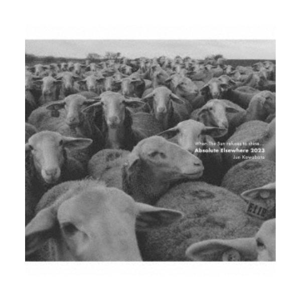 ■発送倉庫:DVD倉庫（※神奈川県からの発送）■種別:CD■発売日:2024/04/26■販売元:ラッツパック・レコード■カテゴリ_音楽ソフト_イージーリスニング_ヒーリング／ニューエイジ■登録日:2024/04/22