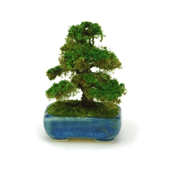 ■発送倉庫:GAME倉庫（※千葉県からの発送）■種別:ホビー■発売日:2020/11/01■メーカー:有限会社プラッツ■説明:THE BONSAIでひろがる世界 世界の著名なドールハウスコレクションに感じるような縮小世界の楽しさと、 盆栽に...