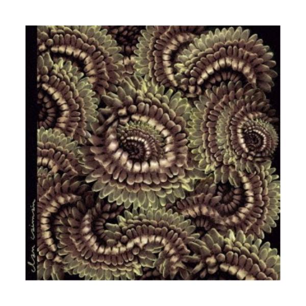 ■発送倉庫:DVD倉庫（※神奈川県からの発送）■種別:CD■発売日:2024/09/27■販売元:ディスクユニオン■収録:Disc.1／01.Tulipan(4:33)／02.Pica-Pau(4:28)／03.Tripa(3:49)／04...