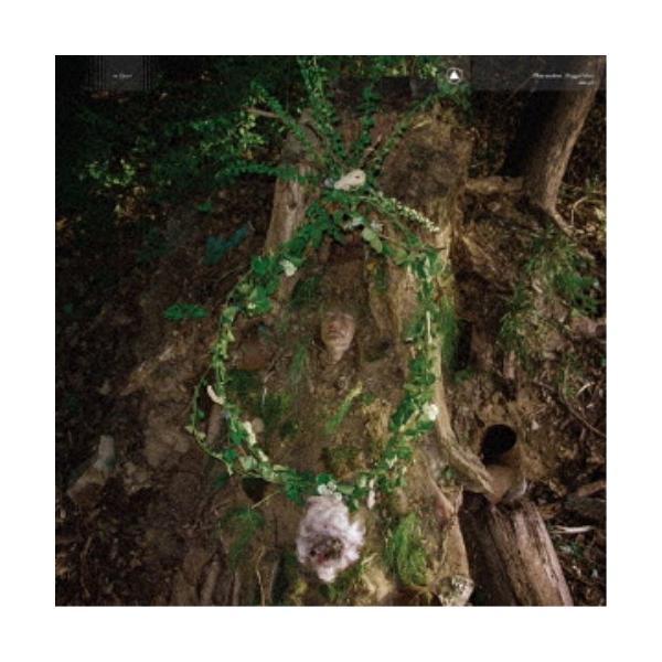 ■発送倉庫:DVD倉庫（※神奈川県からの発送）■種別:CD■発売日:2024/10/09■販売元:ウルトラ・ヴァイヴ■説明:NY出身のマーガレット・チャーディエットによるエクスペリメンタル・ミュージック・プロジェクト、マゴット・マスが5年間...