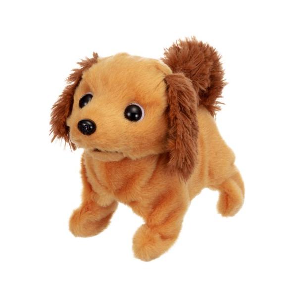 ■発送倉庫:玩具倉庫（※千葉県からの発送）■種別:おもちゃ■発売日:2024/09/30■メーカー:イワヤ■対象年齢:3歳以上■説明:【ピッコリーネ】は、ちいさくてかわいらしいね！という意味をこめて付けられた名前です！！ ピッコリーネ シリ...