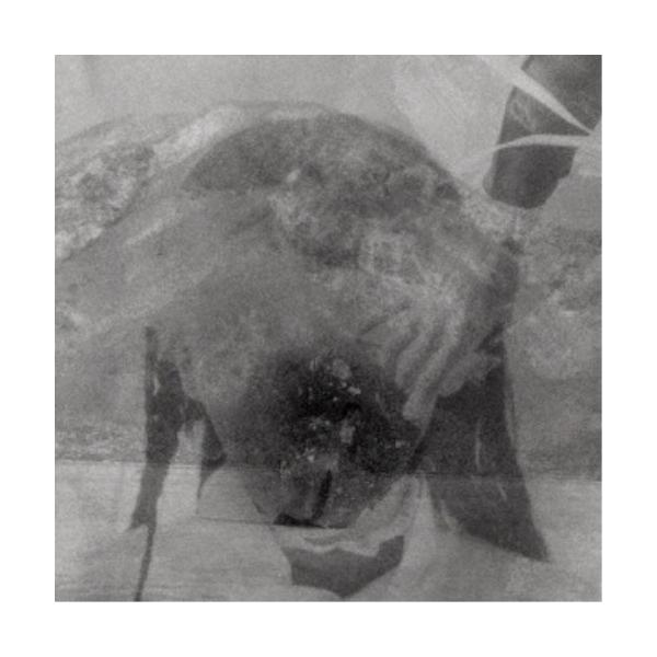 ■発送倉庫:DVD倉庫（※神奈川県からの発送）■種別:CD■発売日:2024/09/13■販売元:ブリッジ■説明:エアリーで魅惑的なボーカルと夢幻的なサウンドスケープで知られる京都出身のアーティストCuusheが、アルバム『WAKEN』以来...