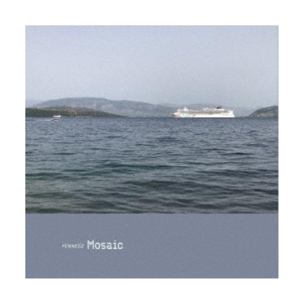 ■発送倉庫:DVD倉庫（※神奈川県からの発送）■種別:CD■発売日:2024/12/04■販売元:Pヴァイン■収録:Disc.1／01.HELICONIA(9:13)／02.LOVE AND THE FRAMED INSECTS(5:54)...