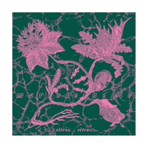 ■発送倉庫:DVD倉庫（※神奈川県からの発送）■種別:CD■発売日:2024/09/18■販売元:ウルトラ・ヴァイヴ■説明:スイス・ジュネーヴのオルタナティヴ・シーン新星姉弟ディオシトロン・シトロンが二年ぶりの新作『マレテルネル』リリース！...