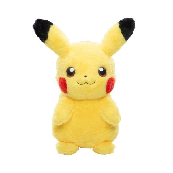 ■発送倉庫:玩具倉庫（※千葉県からの発送）■種別:おもちゃ■発売日:2024/11/09■メーカー:タカラトミー■対象年齢:3歳以上■説明:ピカチュウがあなたのおうちに…！ あなただけのあいぼうポケモンピカチュウをかわいがってね♪  あたま...