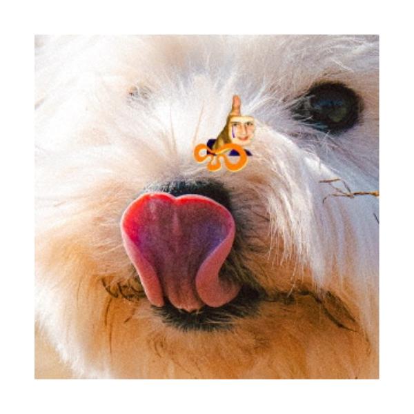 ■発送倉庫:DVD倉庫（※神奈川県からの発送）■種別:CD■発売日:2024/11/20■販売元:Pヴァイン■収録:Disc.1／01.Body Ache(2:17)／02.JAMI (feat.THAMA)(3:04)／03.Give M...