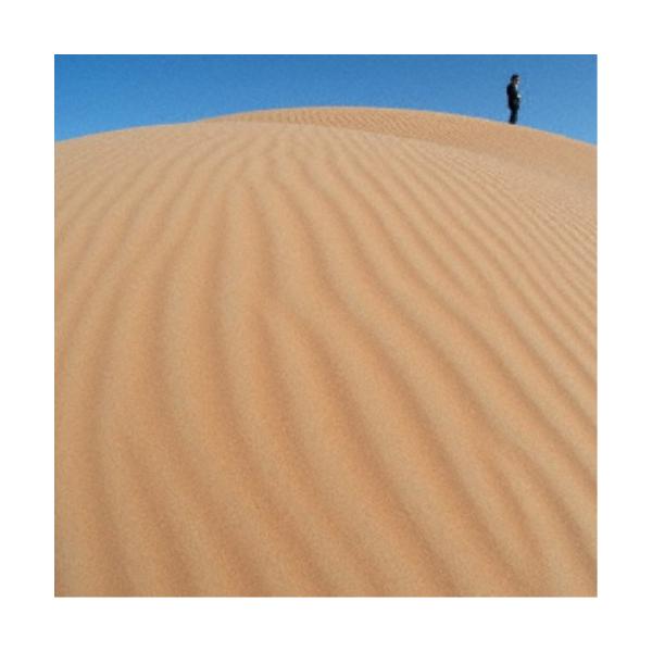 ■発送倉庫:DVD倉庫（※神奈川県からの発送）■種別:CD■発売日:2025/01/15■販売元:ソニー・ミュージック■収録:Disc.1／01.H (THEME FROM CLUB FOOT)(3:14)／02.ROBIN’S EYE V...