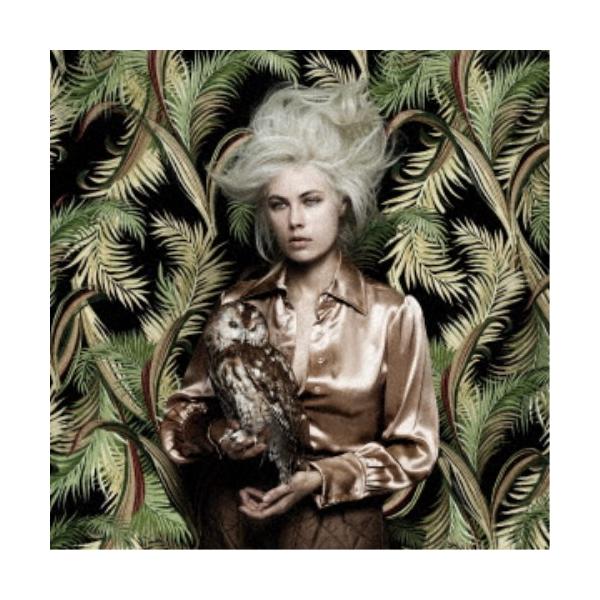 ■発送倉庫:DVD倉庫（※神奈川県からの発送）■種別:CD■発売日:2025/01/11■販売元:ウルトラ・ヴァイヴ■説明:25年以上にわたってアンダーグラウンド・ヒップホップ界にその名を刻んできたミネアポリスのヒップ・ホップ・グループ、ア...