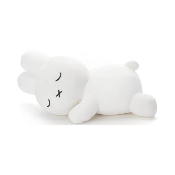 ■発送倉庫:玩具倉庫（※千葉県からの発送）■種別:おもちゃ■発売日:2022/06/23■メーカー:タカラトミーアーツ■対象年齢:6歳以上■説明:すやすやと眠っている姿が可愛いぬいぐるみシリーズ。 Lサイズが登場!  本体サイズ：W400×...