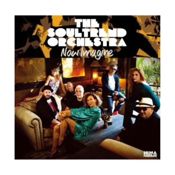 ■発送倉庫:DVD倉庫（※神奈川県からの発送）■種別:CD■発売日:2025/03/05■販売元:Pヴァイン■収録:Disc.1／01.Don’t Expect To Be feat.Ely Bruna(3:55)／02.Wiser fea...