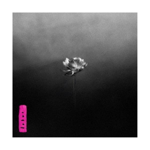 ■発送倉庫:DVD倉庫（※神奈川県からの発送）■種別:CD■発売日:2025/06/06■販売元:DIS■収録:Disc.1／01.THIEF(4:00)／02.FLOOD featuring Obongjayar ＆ Moonchild ...