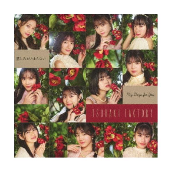 ■発送倉庫:DVD倉庫（※神奈川県からの発送）■種別:CD+Blu-ray■発売日:2025/06/04■販売元:ソニー・ミュージック■収録:Disc.1／01.My Days for You(4:34)／02.悲しみがとまらない(4:31...