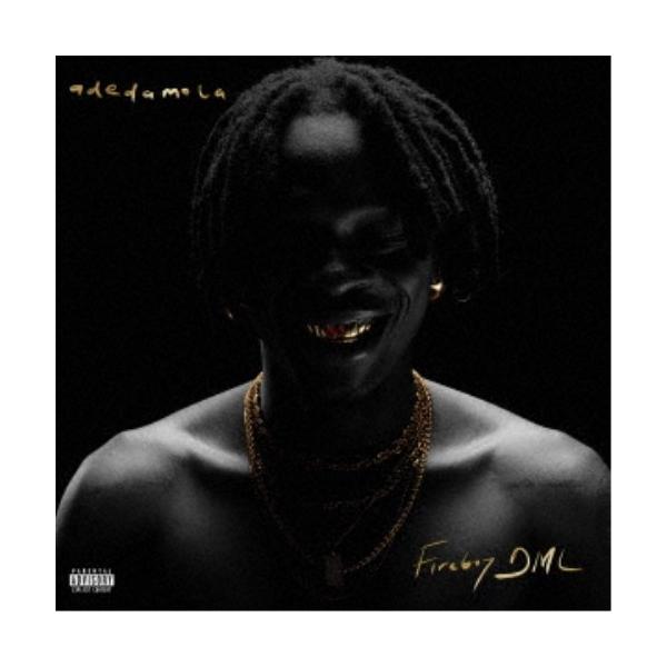 ■発送倉庫:DVD倉庫（※神奈川県からの発送）■種別:CD■発売日:2025/05/17■販売元:ウルトラ・ヴァイヴ■説明:ナイジェリア人のシンガー／ソングライター、ファイヤーボーイDML、4枚目のアルバムが完成。自らのアイデンティティを忠...