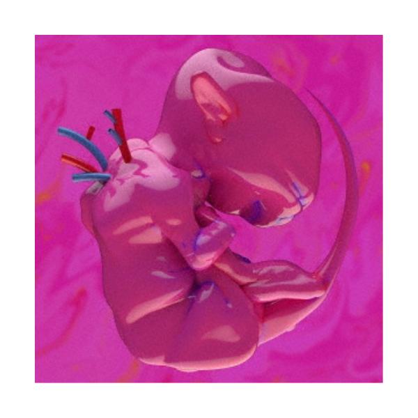 ■発送倉庫:DVD倉庫（※神奈川県からの発送）■種別:CD■発売日:2025/08/01■販売元:ポニーキャニオン■説明:独立後初のアルバムとして、自主レーベル＜エコラプトメノス＞からリリースされる本作は、全11曲を完全セルフ・プロデュース...