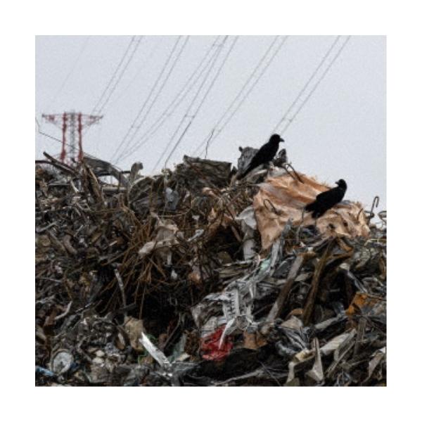 ■発送倉庫:DVD倉庫（※神奈川県からの発送）■種別:CD■発売日:2025/08/06■販売元:ウルトラ・ヴァイヴ■収録:Disc.1／01.PC(0:33)／02.waltz(1:31)／03.目(1:27)／04.vending ma...