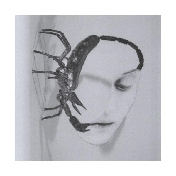 ■発送倉庫:DVD倉庫（※神奈川県からの発送）■種別:CD■発売日:2025/11/05■販売元:ディスクユニオン■収録:Disc.1／01.Vexations／02.Layered Presence／03.Works and Days／0...