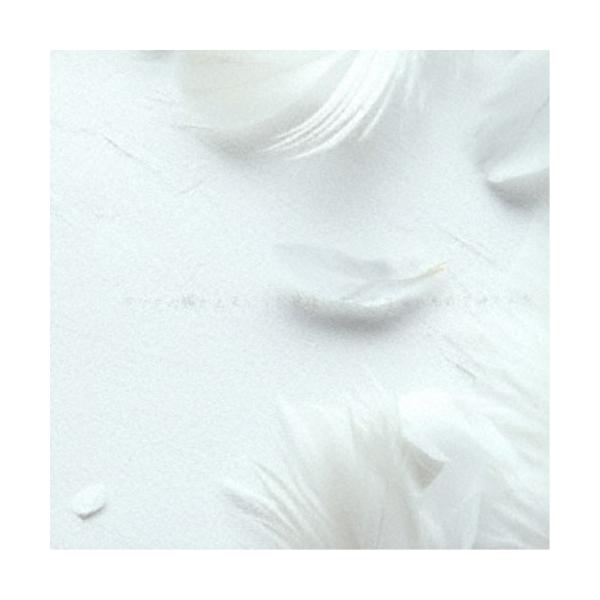 ■発送倉庫:DVD倉庫（※神奈川県からの発送）■種別:CD■発売日:2025/11/18■販売元:日本コロムビア■収録:Disc.1／01.ボクの心臓が止まっても最後にきっとキミの名前を呼ぶんだ(3:08)／02.difficulties(...