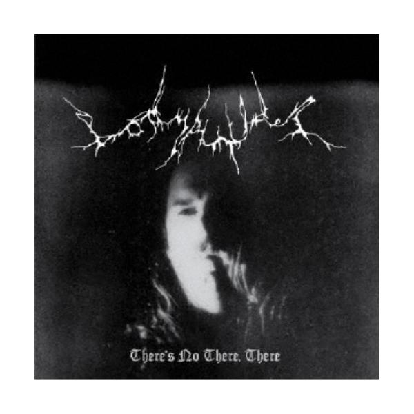 ■発送倉庫:DVD倉庫（※神奈川県からの発送）■種別:CD■発売日:2025/10/31■販売元:ディスクユニオン■収録:Disc.1／01.Separating Twins(2:06)／02.Vera’s Moth(1:31)／03.Ch...