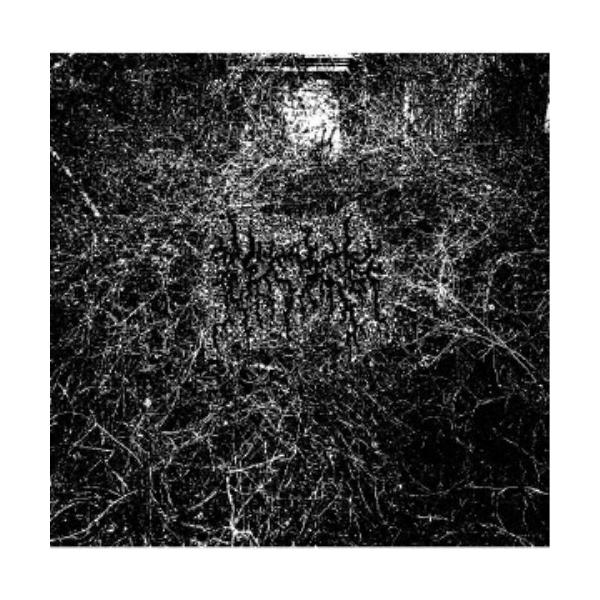 ■発送倉庫:DVD倉庫（※神奈川県からの発送）■種別:CD■発売日:2025/12/17■販売元:ラッツパック・レコード■収録:Disc.1／01.Beyond These Rusted Gates Dream the Revenge of...