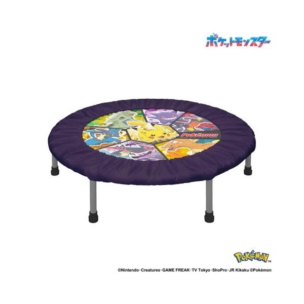 ■発送倉庫:玩具倉庫（※千葉県からの発送）■種別:おもちゃ■発売日:2025/10/31■メーカー:アイデス■対象年齢:3歳以上■説明:人気のポケモンが大集合した迫力満点のデザインで、ポケモンバトルの舞台に飛び込んだような気分♪■カテゴリ_...
