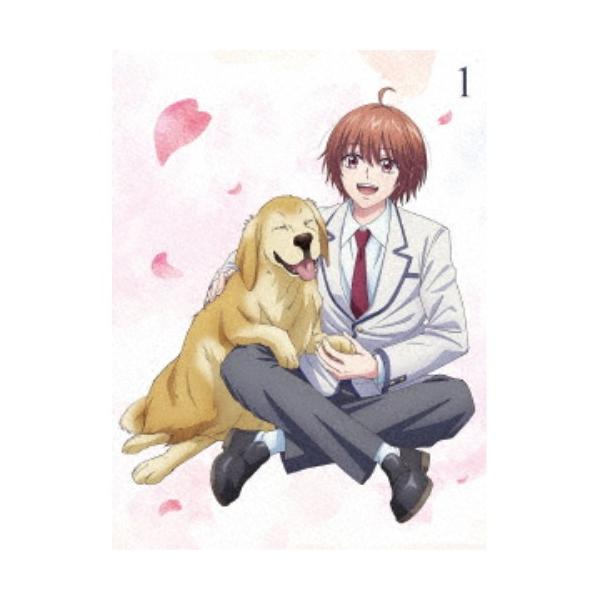 【発売日：2026年05月13日】■納期:発売日以降お届け■発送倉庫:DVD倉庫（※神奈川県からの発送）■種別:Blu-ray■発売日:2026/05/13■販売元:ソニー・ミュージック■説明:シリーズ解説 一世を風靡した大人気作「花ざかり...