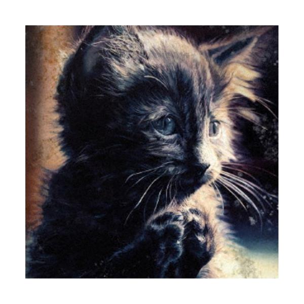 【発売日：2026年03月20日】■納期:発売日以降お届け■発送倉庫:DVD倉庫（※神奈川県からの発送）■種別:CD■発売日:2026/03/20■販売元:ラッツパック・レコード■カテゴリ_音楽ソフト_洋楽_クラブ／テクノ■登録日:2026...