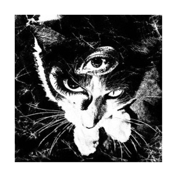 【発売日：2026年04月22日】■納期:発売日以降お届け■発送倉庫:DVD倉庫（※神奈川県からの発送）■種別:CD■発売日:2026/04/22■販売元:ウルトラ・ヴァイヴ■説明:ここ数年世界でも盛り上がりを見せるシューゲイズ人気。今や日...