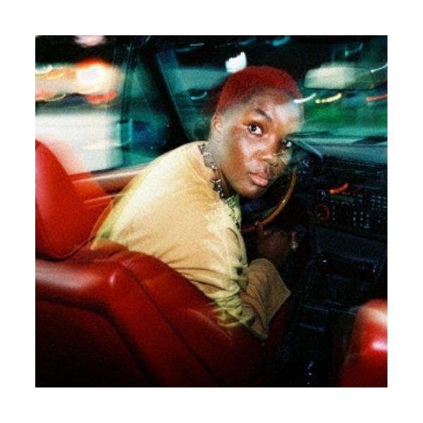 【発売日：2026年04月03日】■納期:発売日以降お届け■発送倉庫:DVD倉庫（※神奈川県からの発送）■種別:CD■発売日:2026/04/03■販売元:ウルトラ・ヴァイヴ■説明:アーロ・パークス(グラミー賞ノミネート、マーキュリー賞＆ブ...