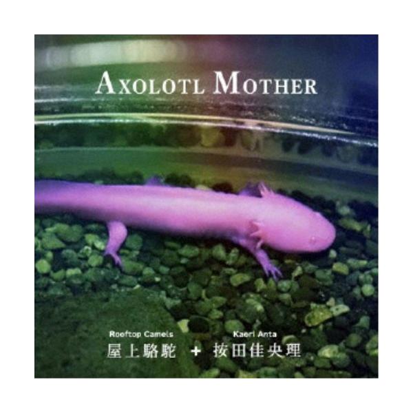 【発売日：2026年04月29日】■納期:発売日以降お届け■発送倉庫:DVD倉庫（※神奈川県からの発送）■種別:CD■発売日:2026/04/29■販売元:ディスクユニオン■収録:Disc.1／01.明日比べ(4:02)／02.アドの勇者(...