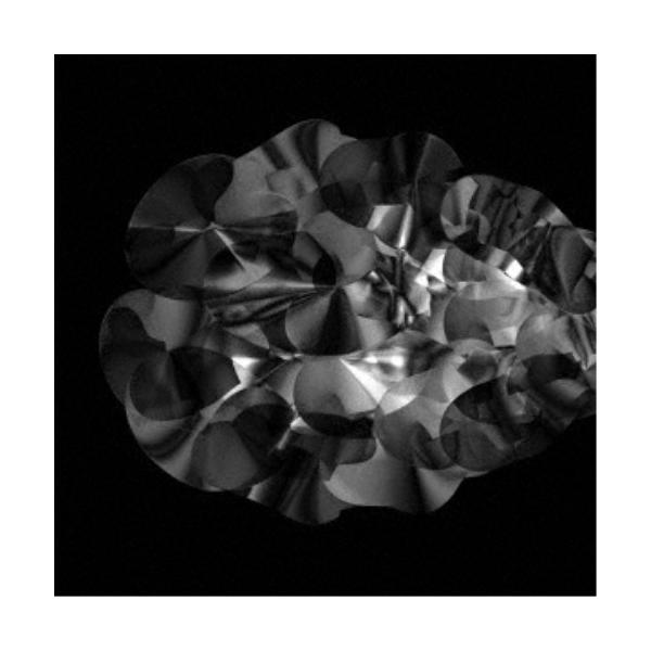 【発売日：2026年05月15日】■納期:発売日以降お届け■発送倉庫:DVD倉庫（※神奈川県からの発送）■種別:CD■発売日:2026/05/15■販売元:ウルトラ・ヴァイヴ■カテゴリ_音楽ソフト_洋楽_クラブ／テクノ■登録日:2026/0...