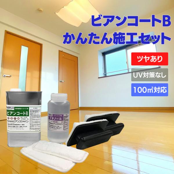 ■セット内容：　・一液常温硬化型ハードコーティング剤『ビアンコートB　ツヤありUV対策なし 2L缶』×1　・希釈用ブタノール　1000mlポリ容器×1本　・施工用推奨モップ（本体）×2個　・施工用推奨モップ（替え布）×2枚　・マニュアル＆施...