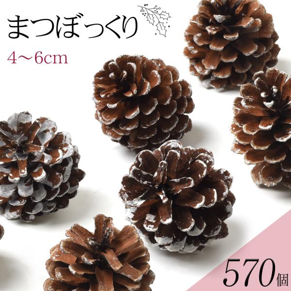 商品説明サイズ 縦（約）4〜6cm　横（約）4〜6cm入数 570個梱包サイズ（約） 約49cm×約40cm×約40cm／宅配便注意事項 天然素材のため、大きさや形にバラつきがございます。また、割れや折れなどがある場合もございます。できる限...