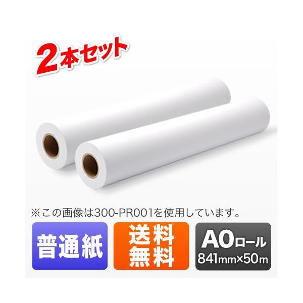 【お取り寄せ】図面や線画、テスト印刷に最適な高品質・厚手タイプの普通紙ロール。A0ロール×2ロール入り。※納期・配送についてのご注意本製品はお取り寄せ商品です。通常約1週間で発送いたします。またお取り寄せ商品のため、キャンセル・返品をお受け...