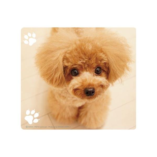 マウスがスムーズ、SmooZooマウスパッド。ティーカッププードル。▼詳しい情報は下記をご覧ください。