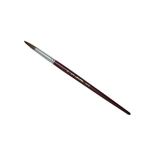 丸丸/14号/81105141・Size:14号Style:丸・穂先サイズ:7.5×31mm・使用用途: 水彩画・筆の固さ: ふつう・素材: 馬毛・絵具の含み: ふつう