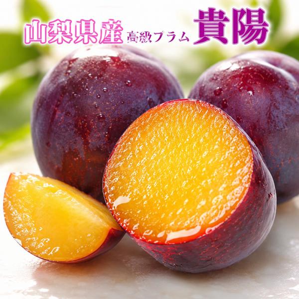 フルーツ王国・山梨県が誇る最高級プラム「貴陽（きよう）」。大玉で食べ応えがあり、ひと口頬張るとあふれる果汁と濃厚な甘み、ほどよい酸味の絶妙なバランスをお楽しみいただけます。すももの中でも高い人気を誇る品種で、その豊かな風味から贈答用としても...