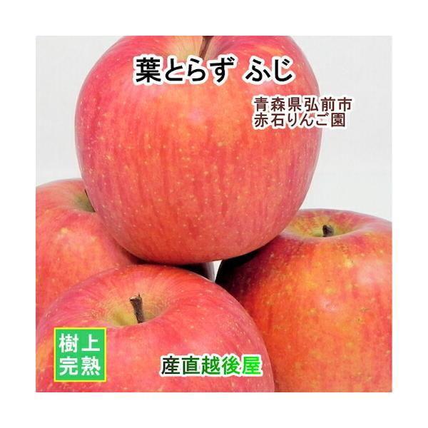 ●見た目よりも味わいと栄養を重視した葉取らず栽培。大正時代から続く赤石農園は食べて感動できるりんごを作り続けています。●国内生産量、人気ともにNo1！青森りんご「葉とらずふじ」は、甘みと酸味のバランスが絶妙です。●昭和33年（1958年）青...
