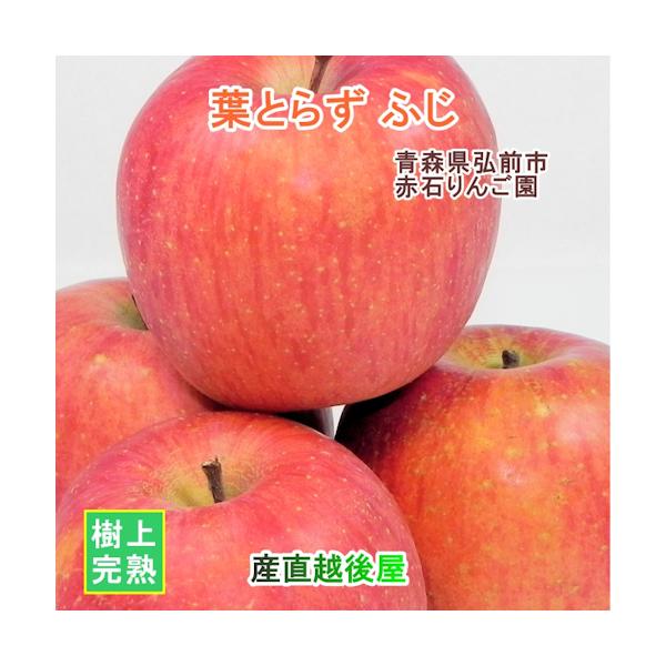 ●糖度が高く、蜜が入りやすい品種です。果肉はジューシーでシャキシャキした歯ざわりも心地良く、全体にバランスが良いりんごです。そのままでもお菓子にしてもオッケーです。●甘未酸味共に強すぎず、多汁で食味はふじに似ていて美味しいです。ふじよりも少...